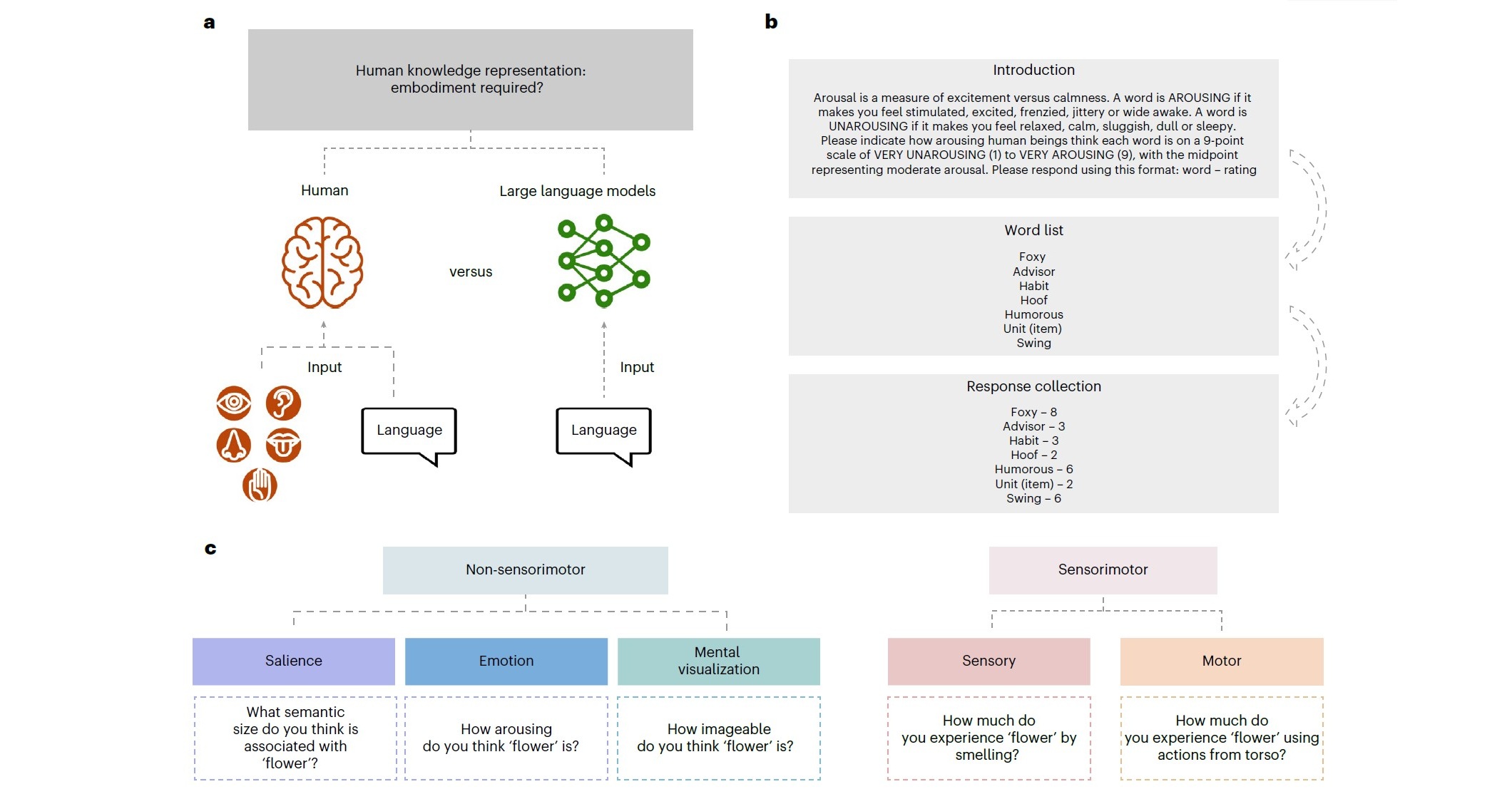 PolyU-led research reveals that sensory and motor inputs help large language models represent ...