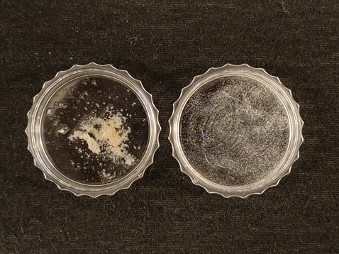 MicroFish | Department of Applied Biology and Chemical Technology