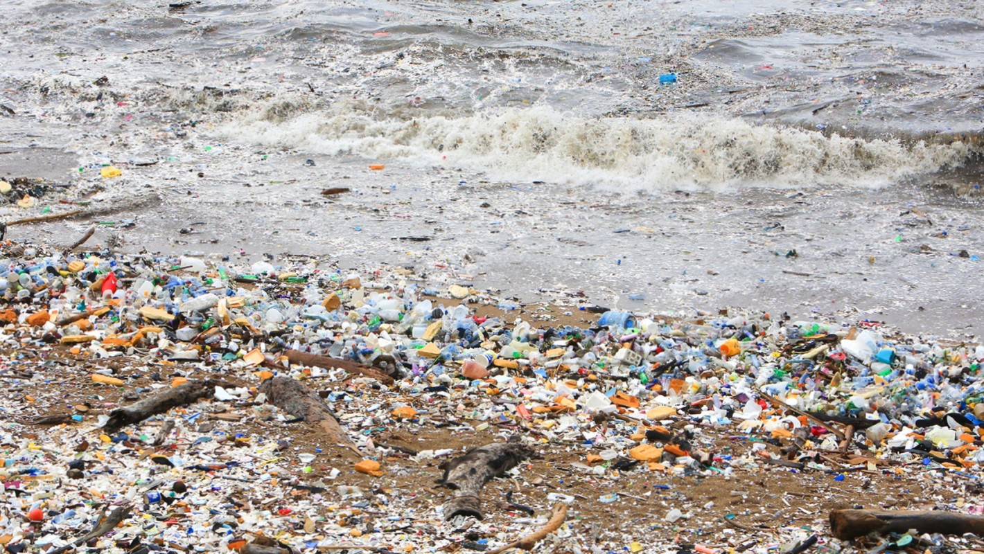 Microbial solution for microplastic pollution | Department of Applied ...
