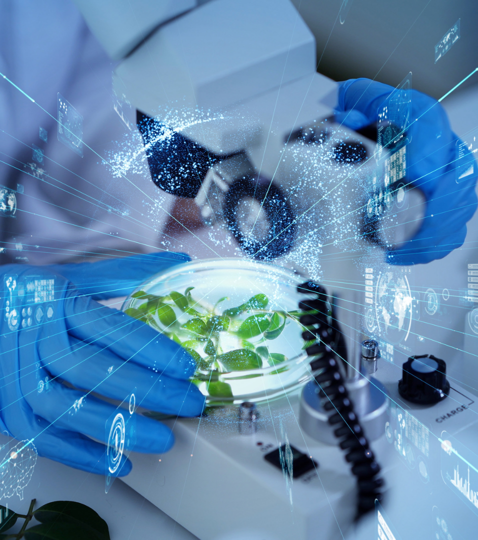 Bachelor of Science (Honours) Scheme in Biotechnology and Chemical ...