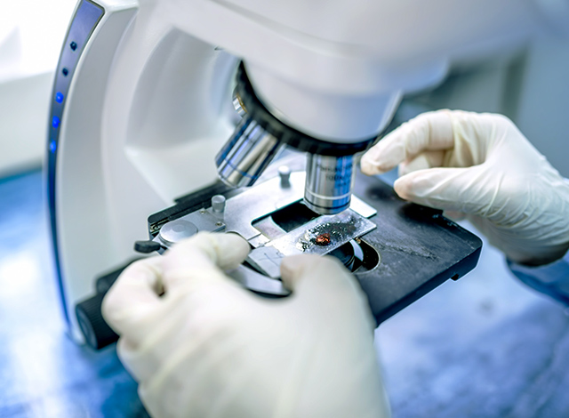 Bachelor of Science (Honours) in Applied Biology with Biotechnology ...