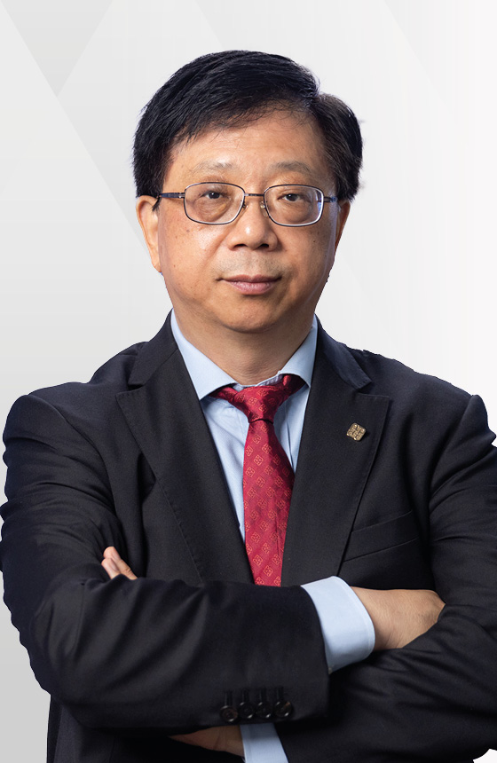 Professor Defeng SUN | Academicians and Distinguished Scholars
