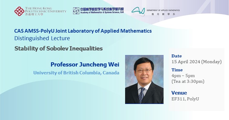 Stability of Sobolev Inequalities | Department of Applied Mathematics