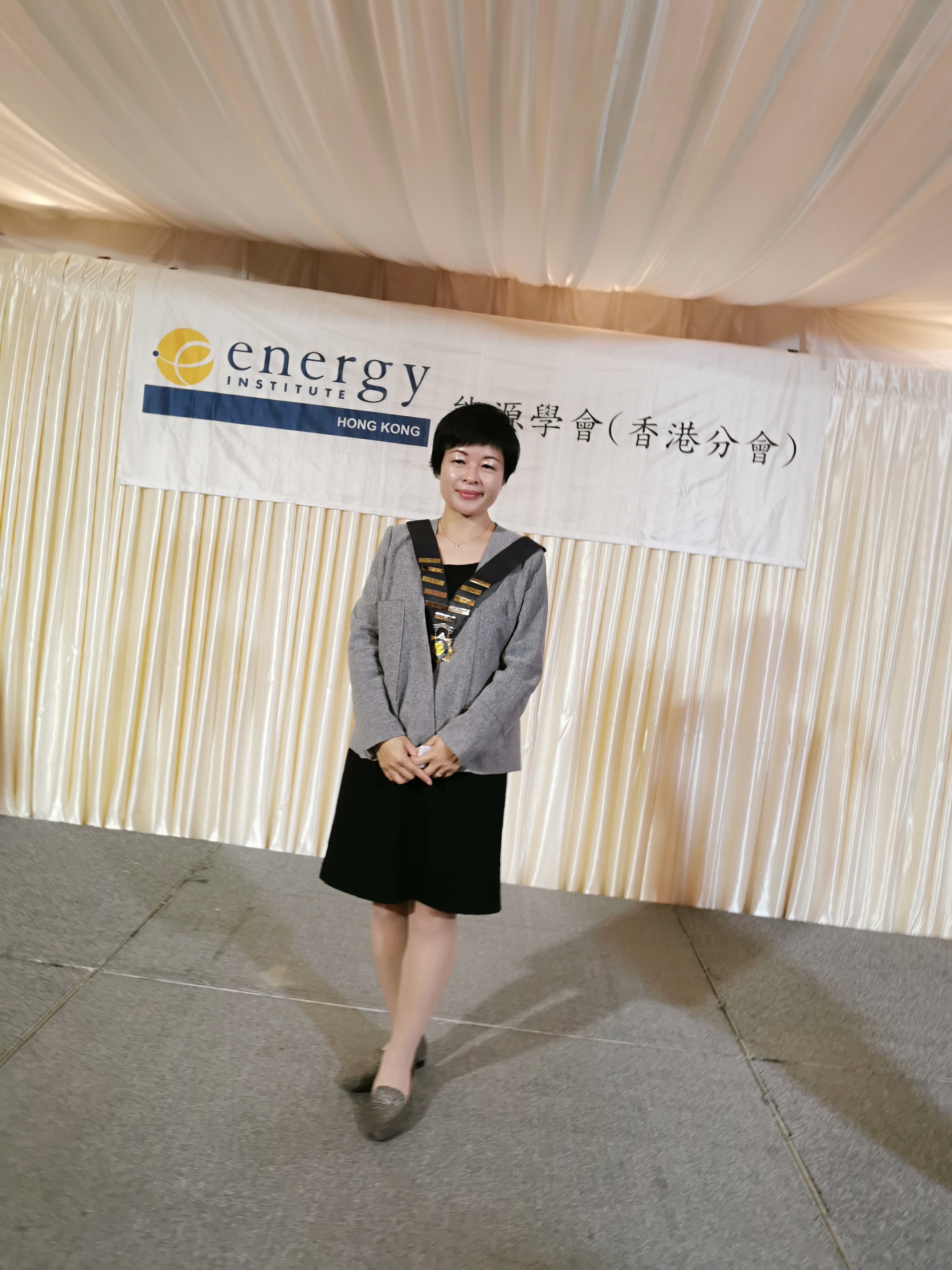 BEEE’s Professor was Elected as the Chairman of the Energy Institute ...