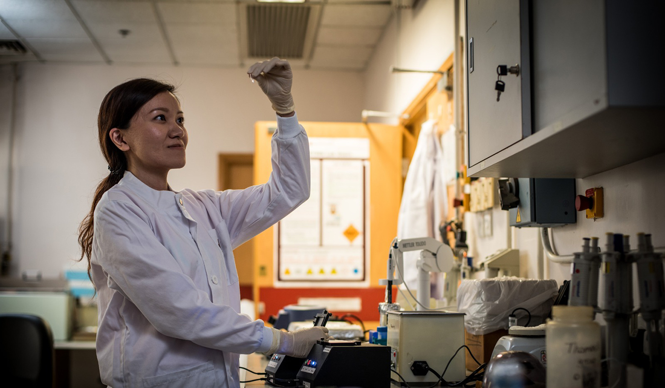 Molecular, Cellular and Tissue Engineering | Department of Biomedical ...