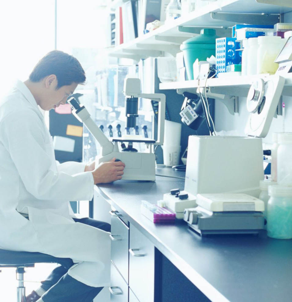 Master of Science in Biomedical Engineering - Programme Aims ...