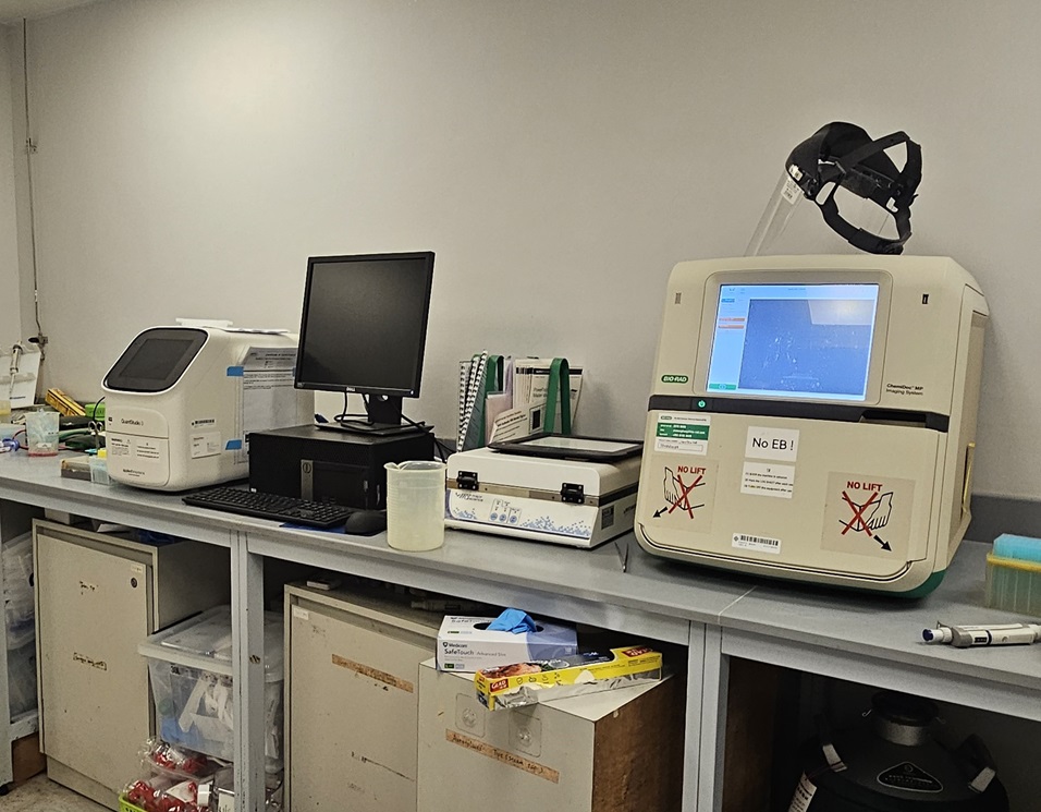 Research Laboratories and Facilities | Department of Biomedical Engineering