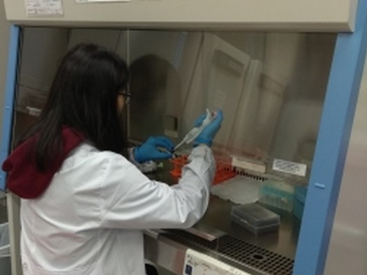 Research Laboratories and Facilities | Department of Biomedical Engineering