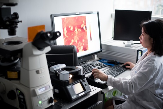 Research Laboratories and Facilities | Department of Biomedical Engineering