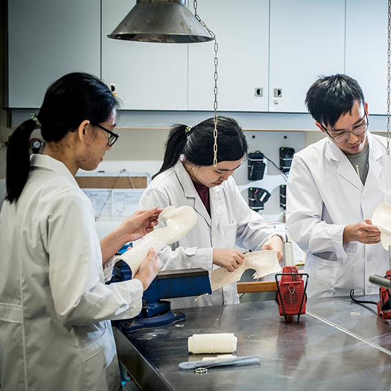 Admissions - Program Overview | Department of Biomedical Engineering