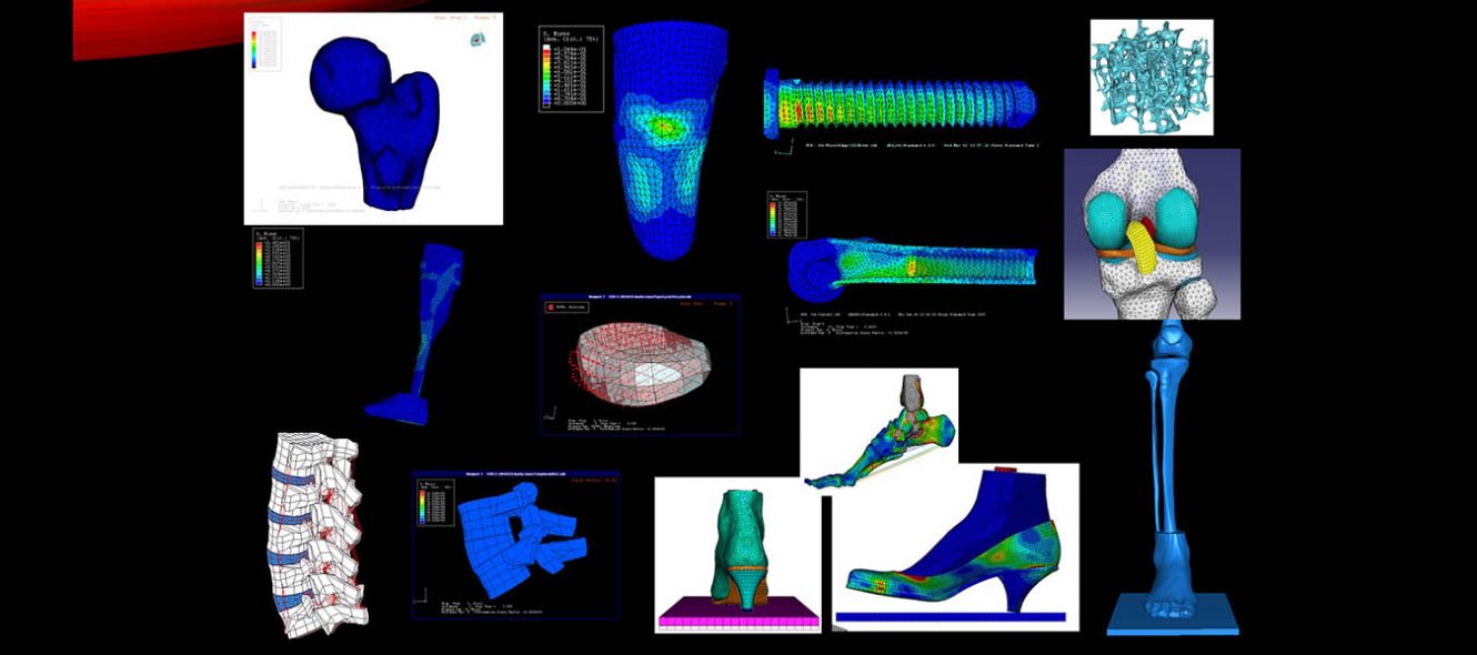 Department of Biomedical Engineering