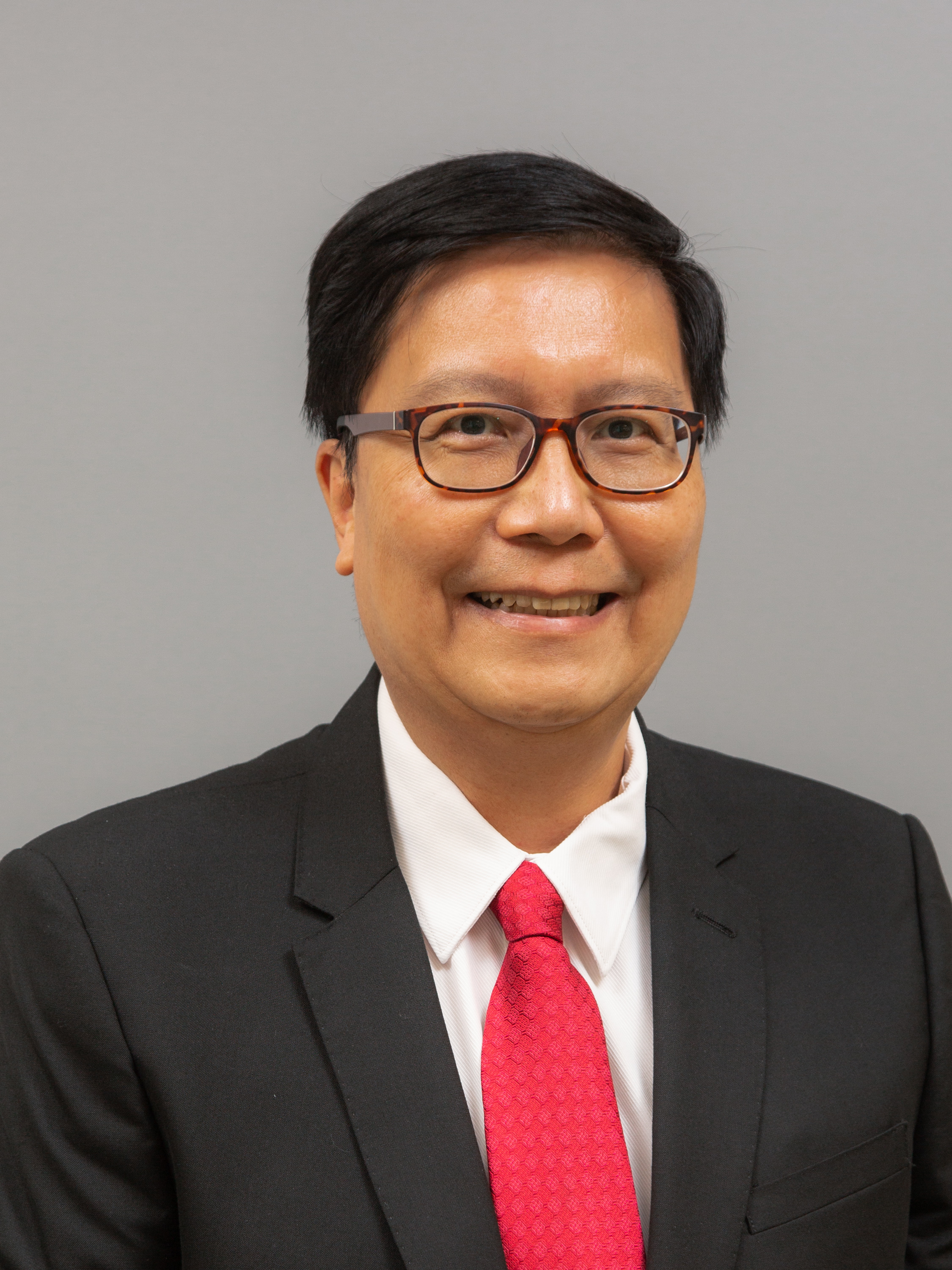 Ir Professor Albert P.C. CHAN