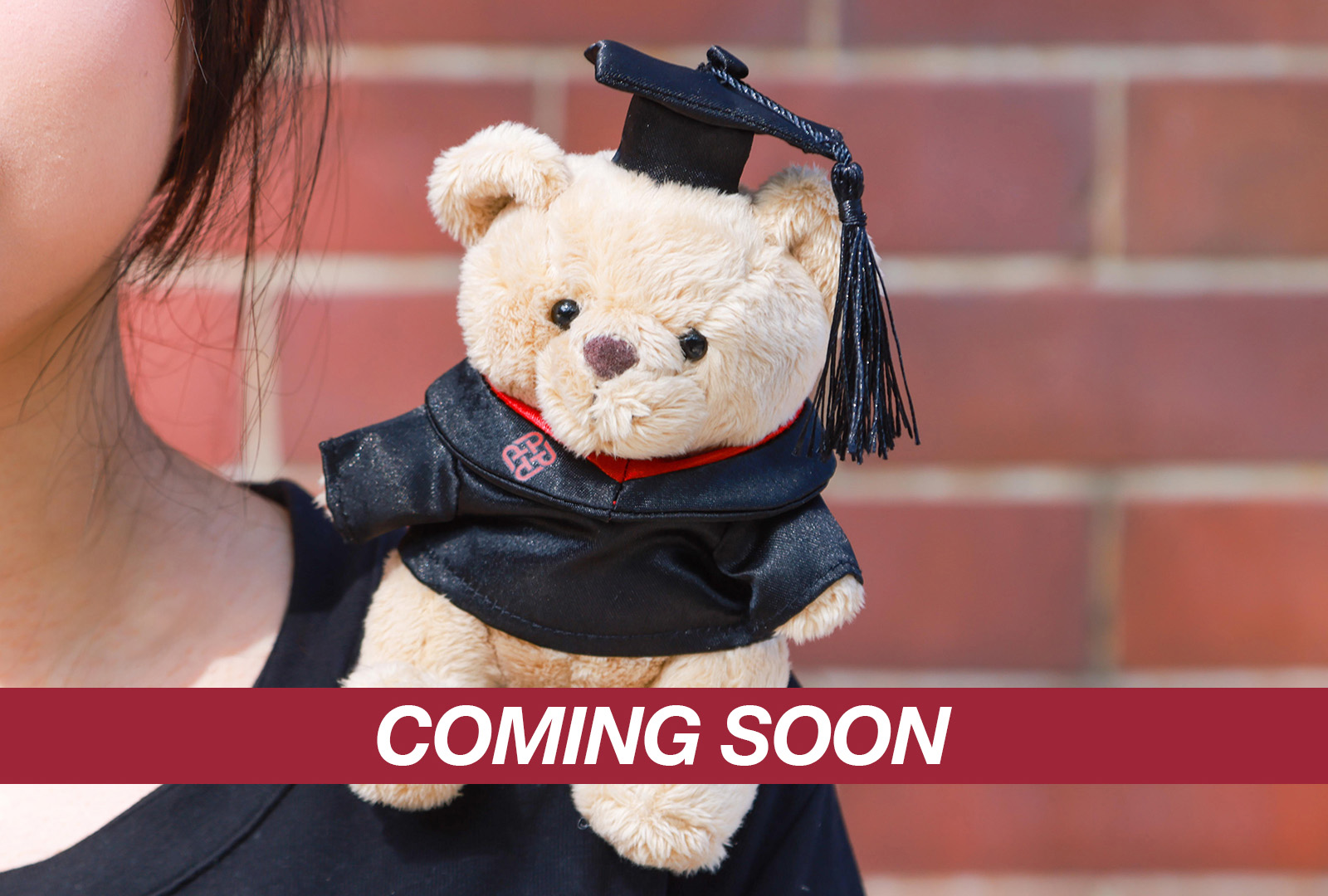 PolyU Teddy Bear Plush - 12cm Magnetic Shoulder Graduation Bear ...