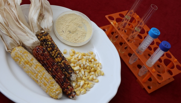 PolyU Innovates Nano-encapsulation Technology to Enhance DHA Absorption ...