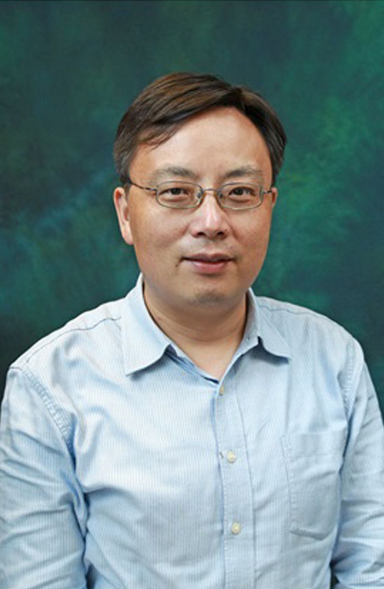 Prof. Feng YAN | Faculty of Science