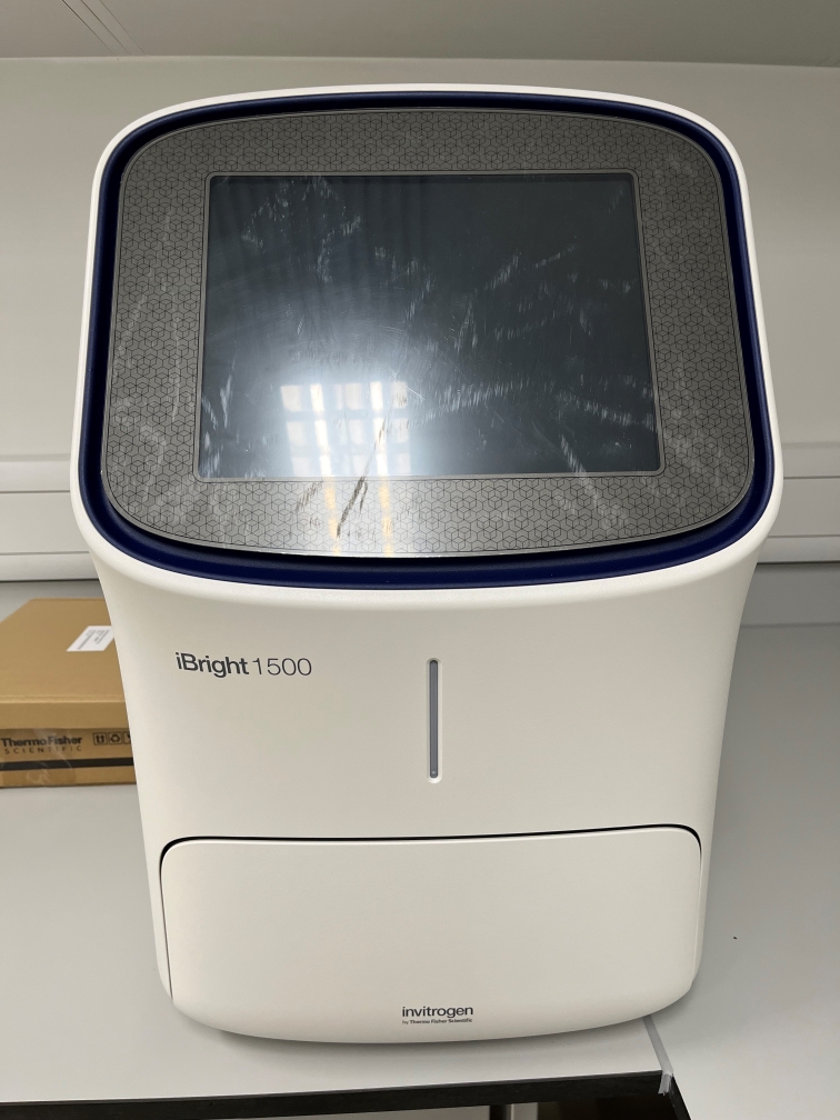 iBright™ FL1500 Imaging System | Department of Food Science and Nutrition