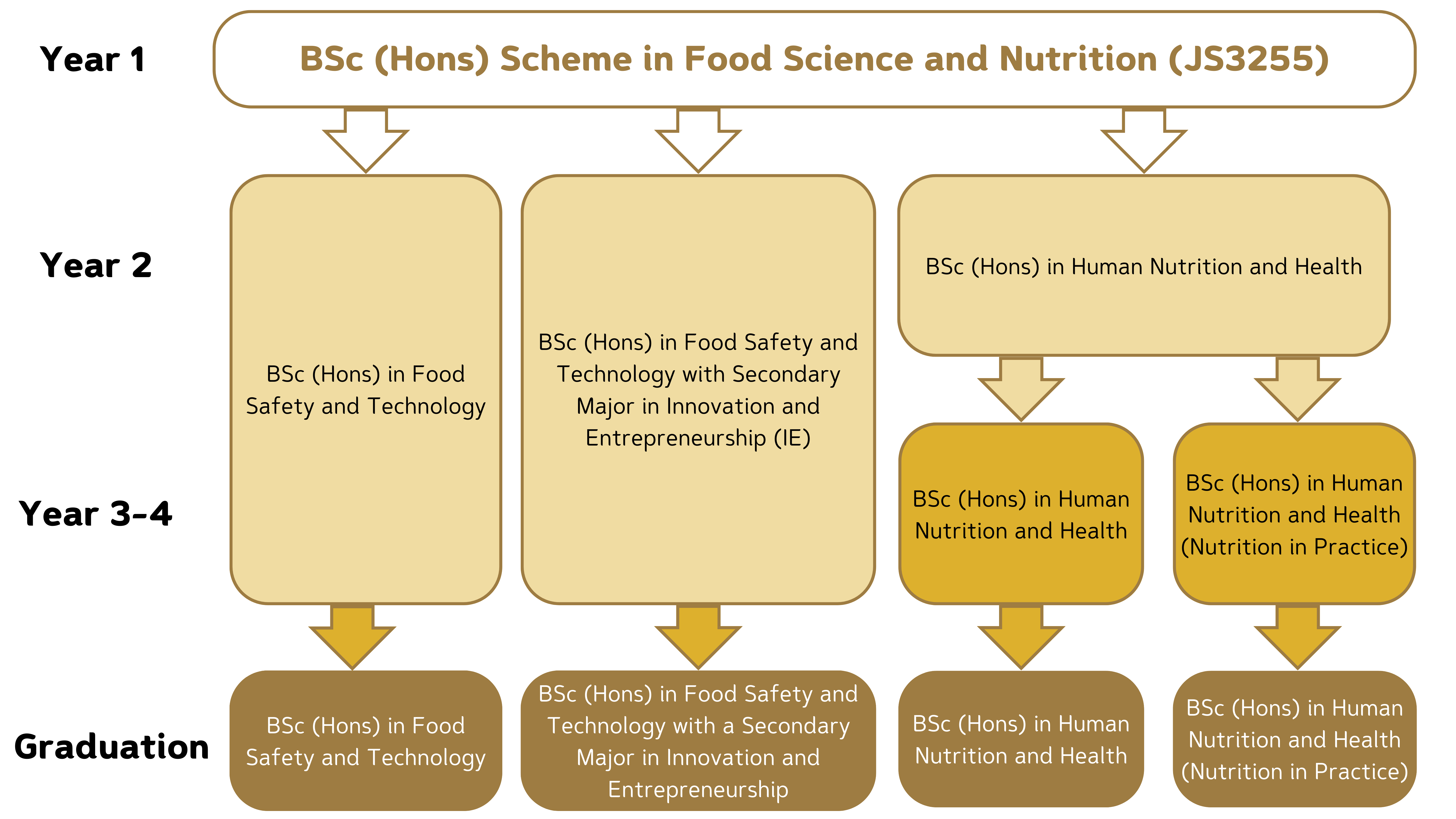 BSc (Hons) Scheme in Food Science and Nutrition (JS3255) (Intake 2025/ ...