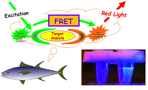 Food Safety and Technology Research Centre | Department of Food Science ...