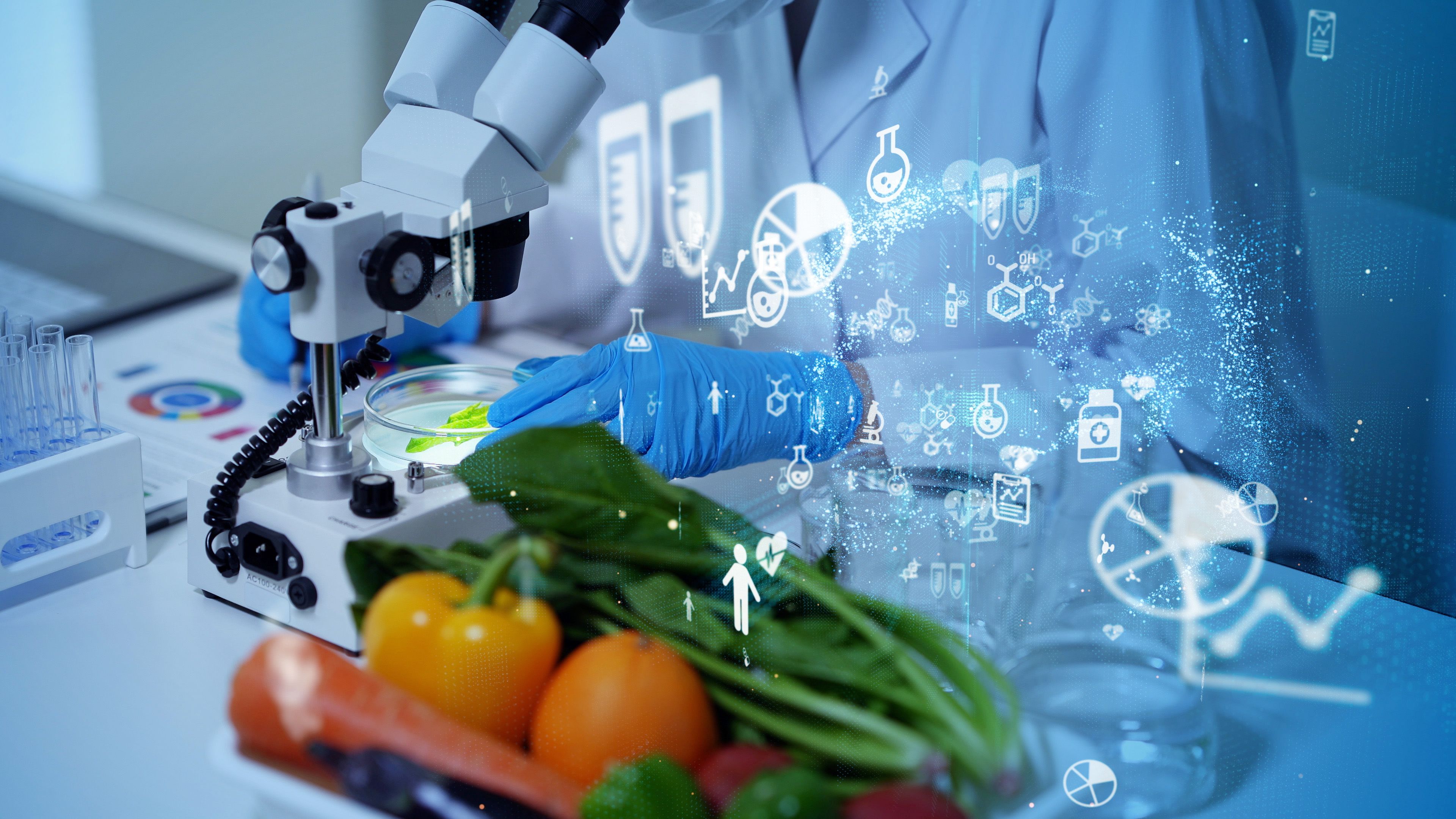 BSc (Hons) Scheme in Food Safety and Technology (15455) (Intake 2024/25 ...