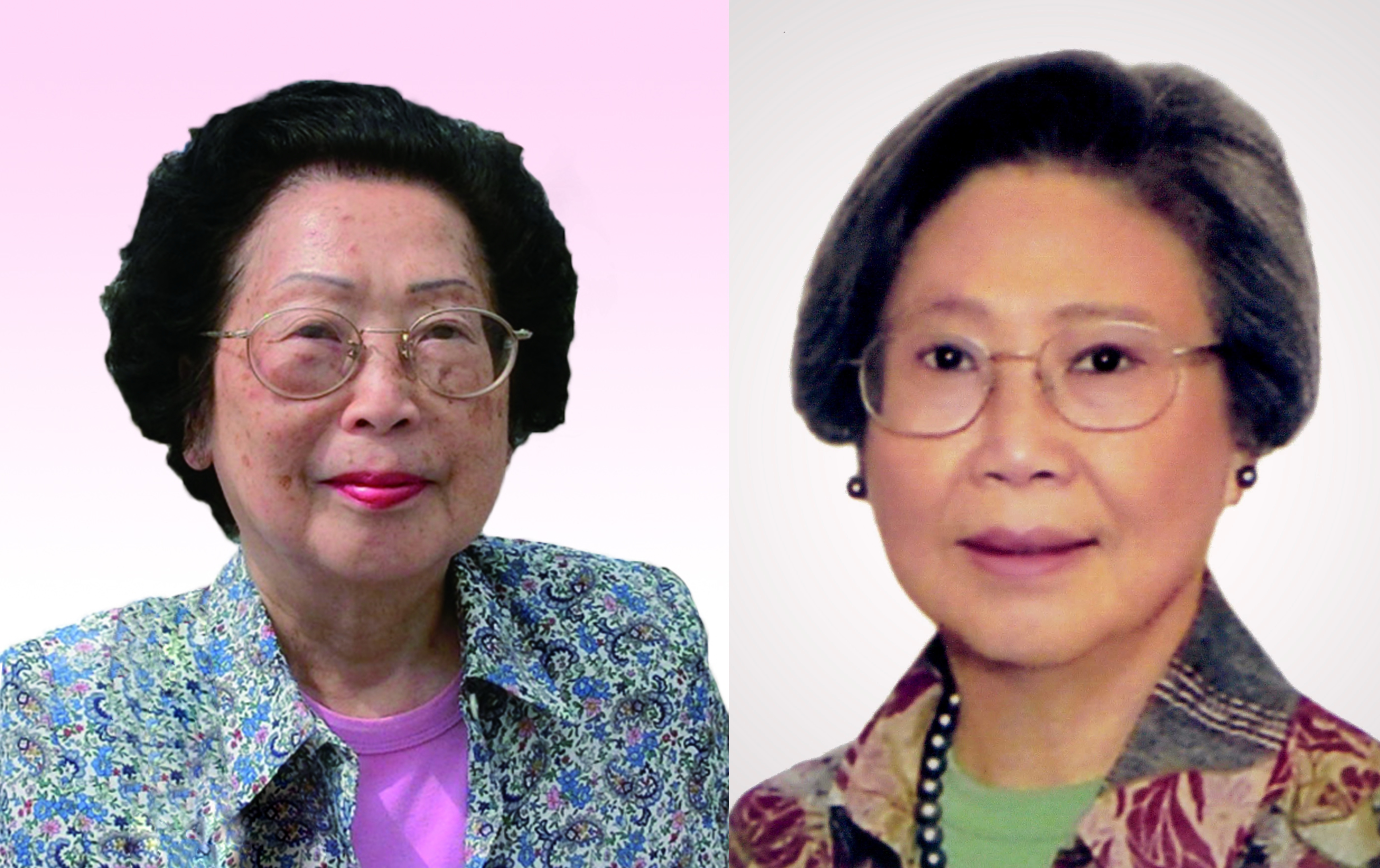 Yeung Tsang Wing Yee and Tsang Wing Hing Endowed Professorship in ...