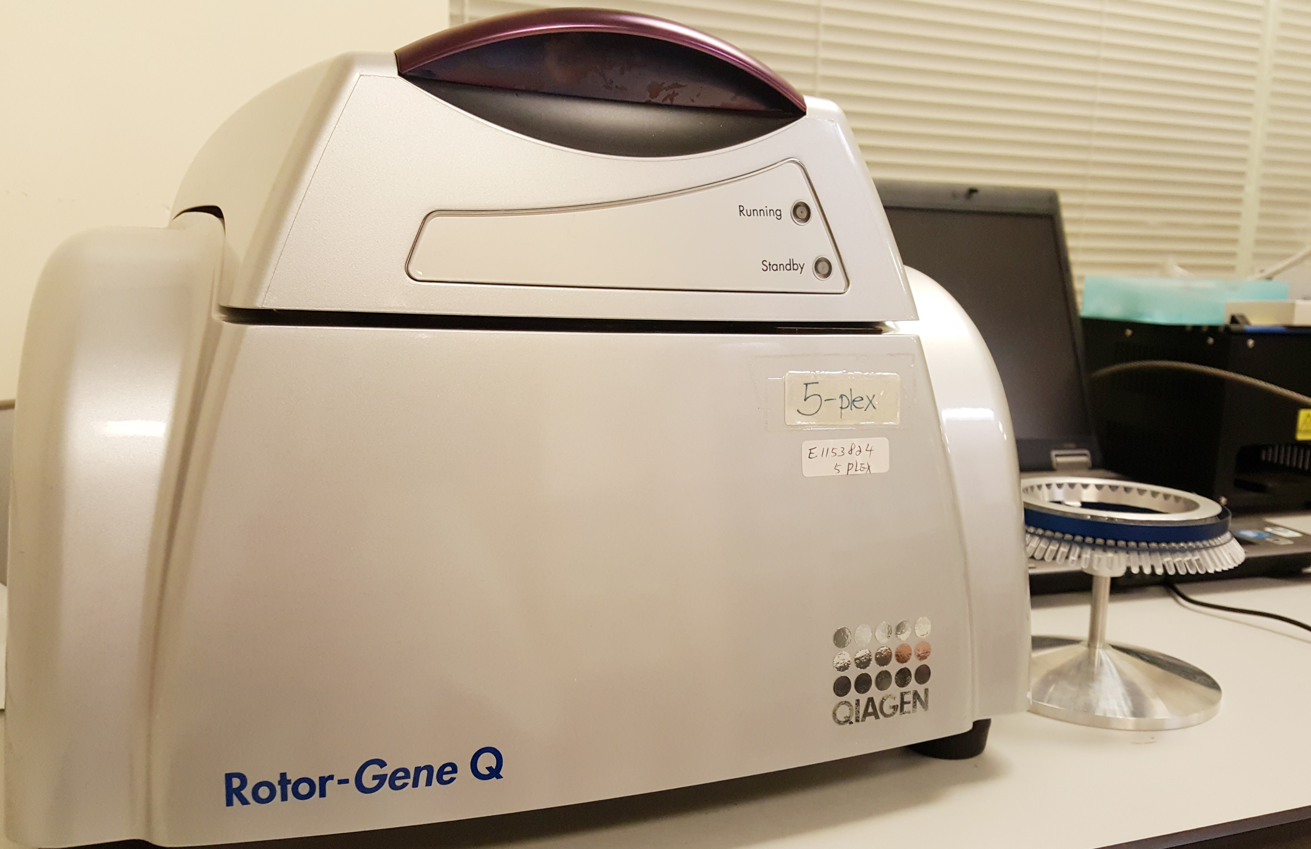 Molecular Biology Laboratory | Department of Health Technology and ...