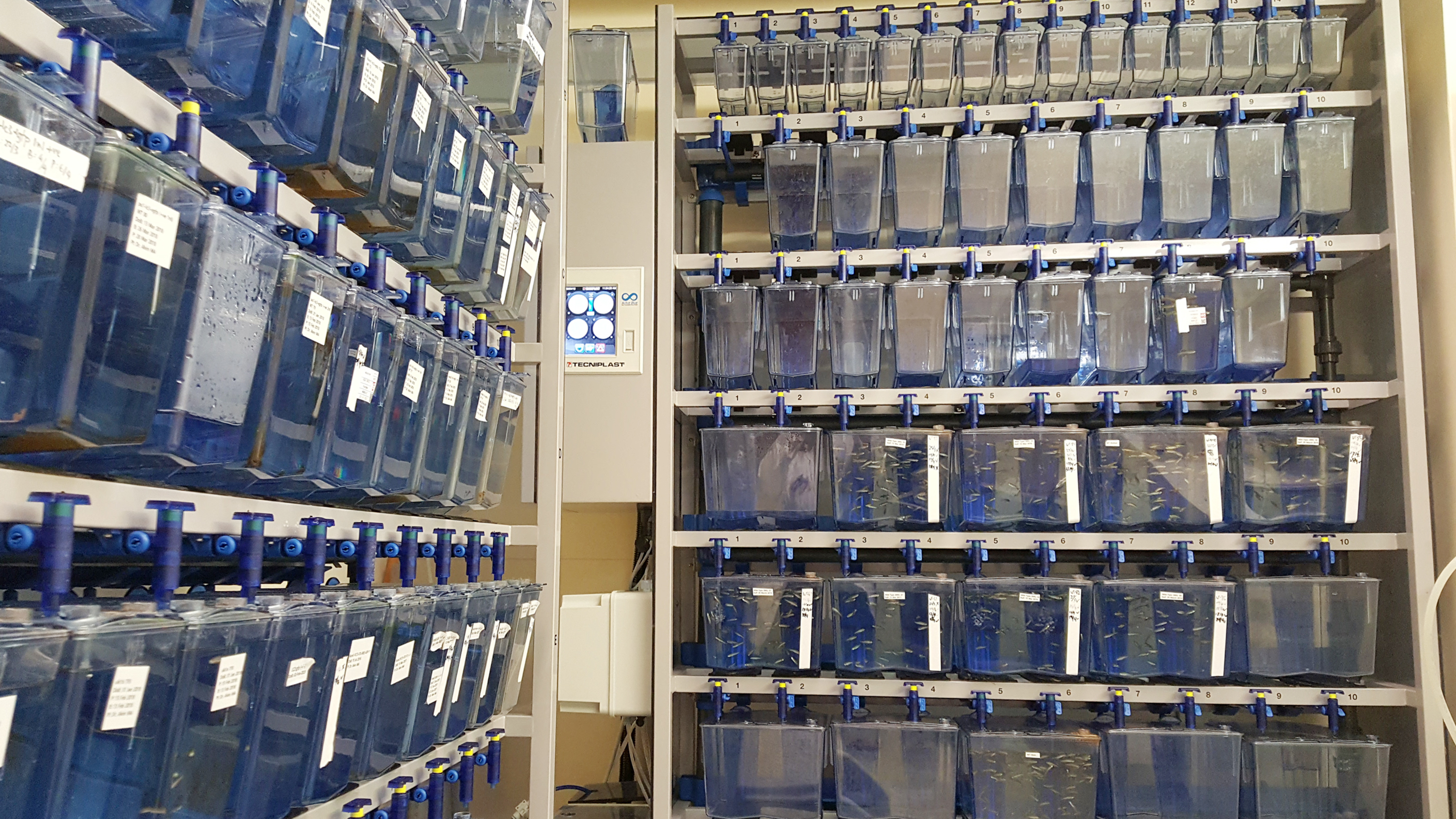 Translational Research Laboratory | Department of Health Technology and ...