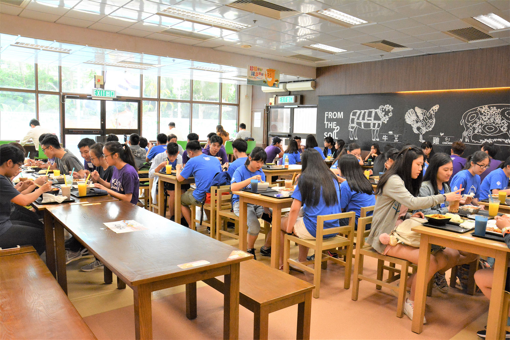 PolyU Summer Programme 2019 HTI | Department of Health Technology and ...