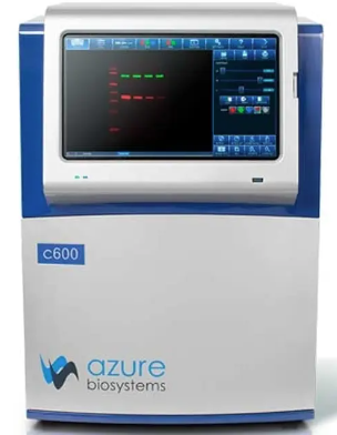 Bioluminescence Imaging System for Circadian Rhythmicity | Research ...