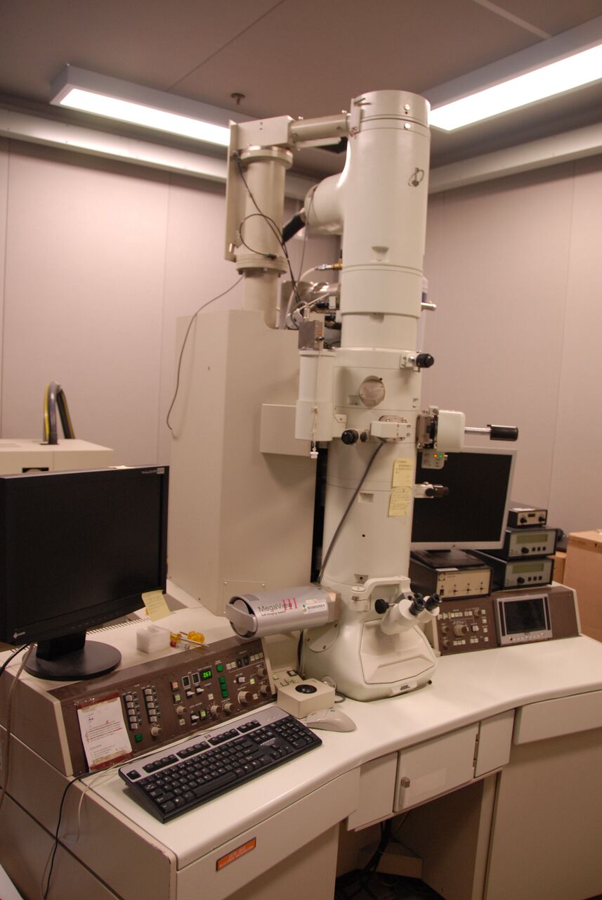 Focused Ion Beam & Transmission Electron Microscope | Research ...