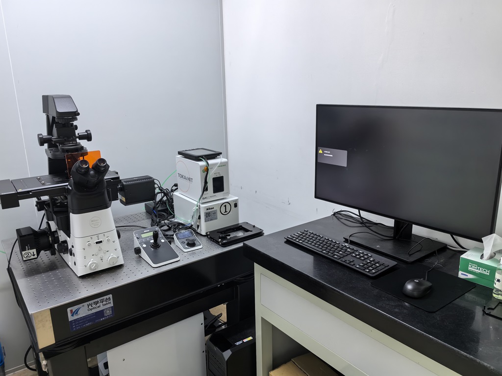 Nikon Ti2-E Live-cell Imaging System | Research Equipment and Facilities