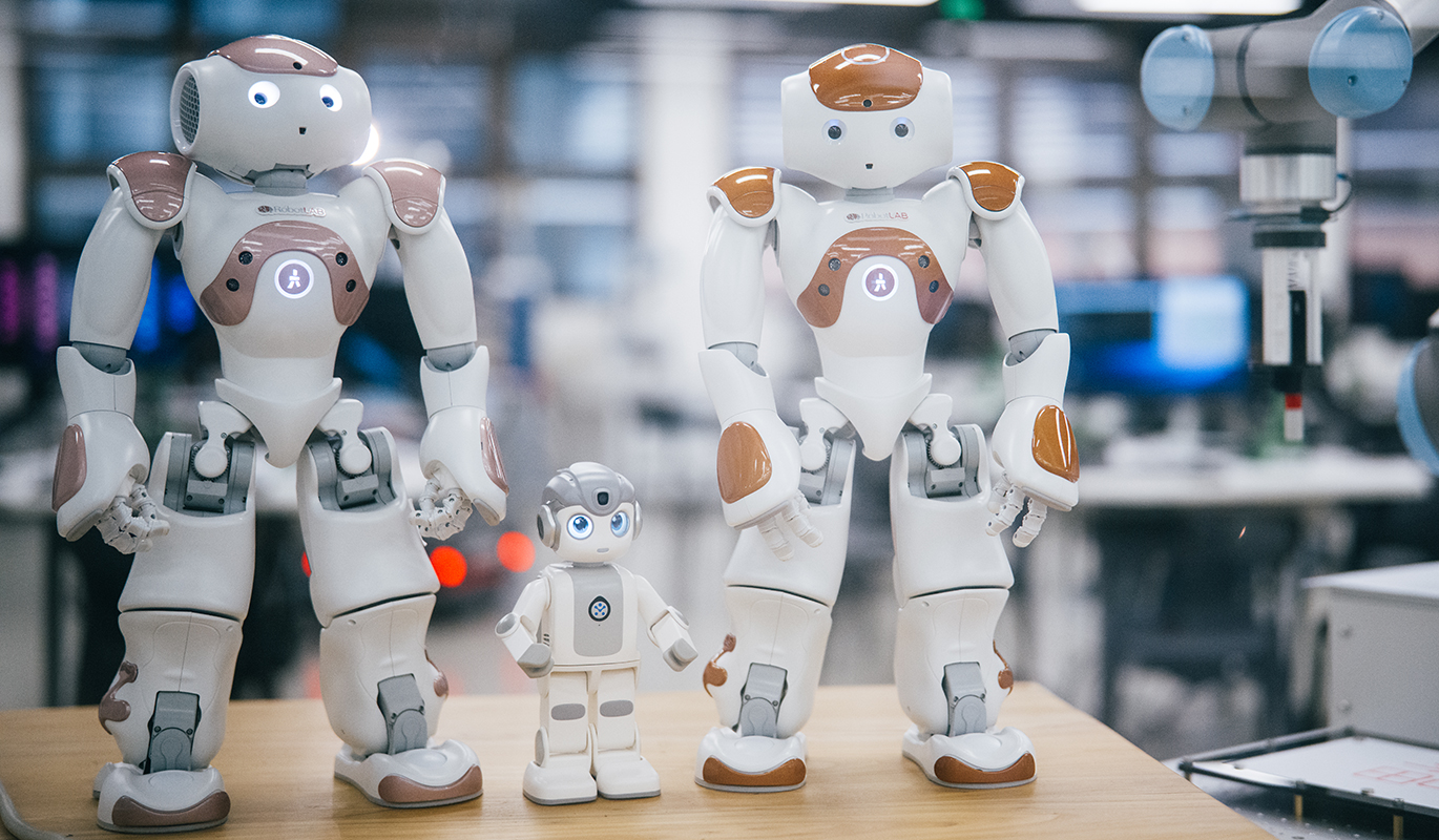 Central Robotic Teaching Facility: HUMANOID ROBOTS | Research Equipment ...