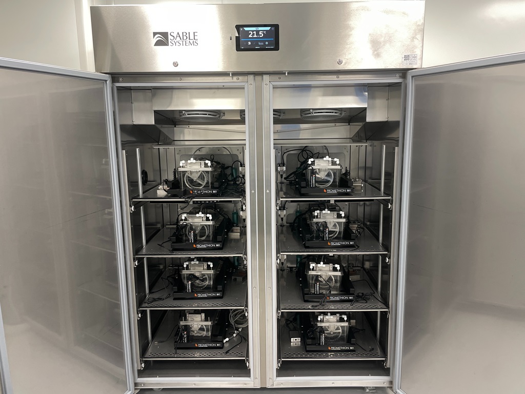 Promethion Core Metabolic Cage System | Research Equipment and Facilities