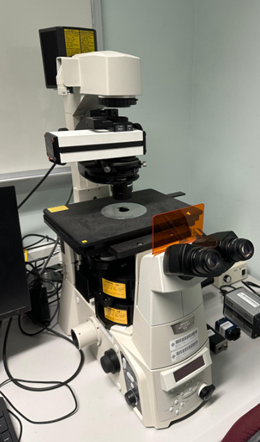 Multi-trap Tweezer System | Research Equipment and Facilities