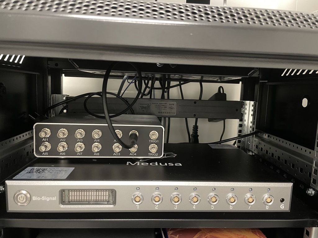 Medusa EEG & EMG Recording System | Research Equipment and Facilities