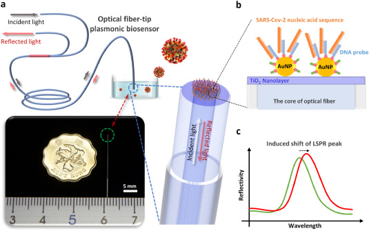 Ultraminiature optical fiber-tip plasmonic biosensors for label-free ...