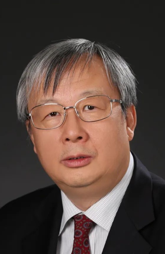Prof. Yi LUO | Photonics Research Institute
