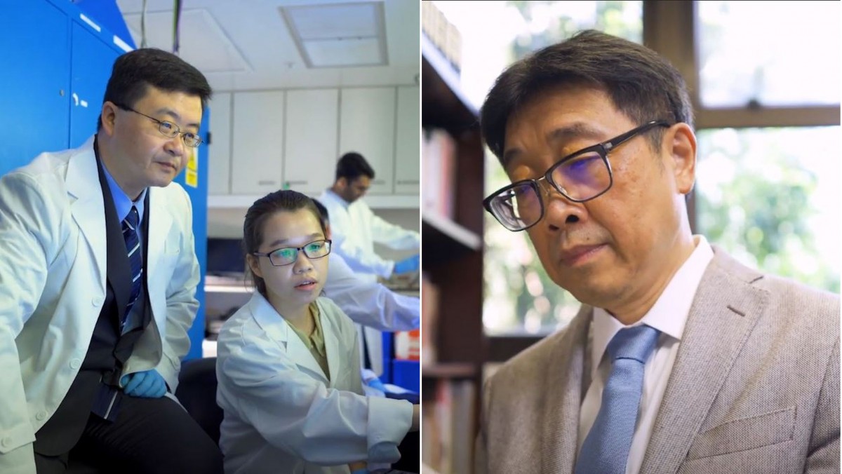 PolyU’s Endowed Professorships to support top scholars on their journey ...