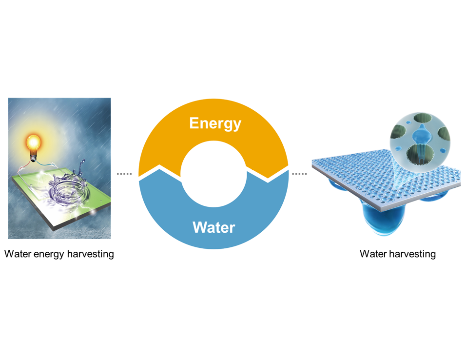Research Directions | Research Centre for Nature-Inspired Science and Engineering