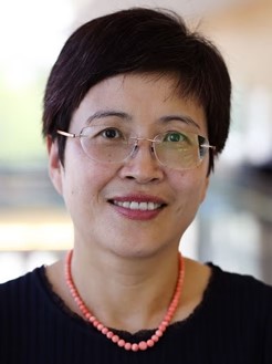 Team Members | Research Centre for Nanoscience and Nanotechnology