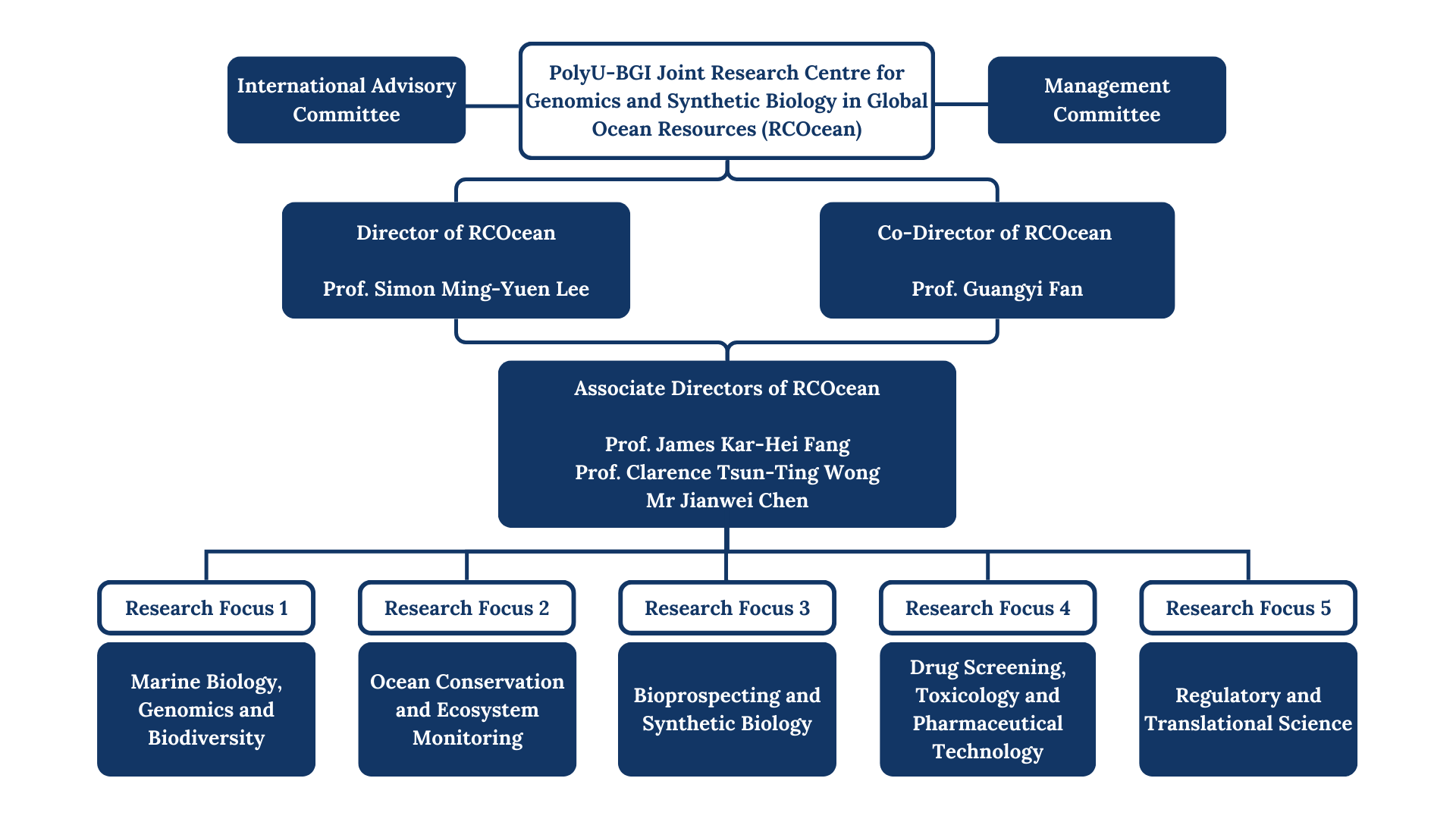Organisation Structure | RCOcean