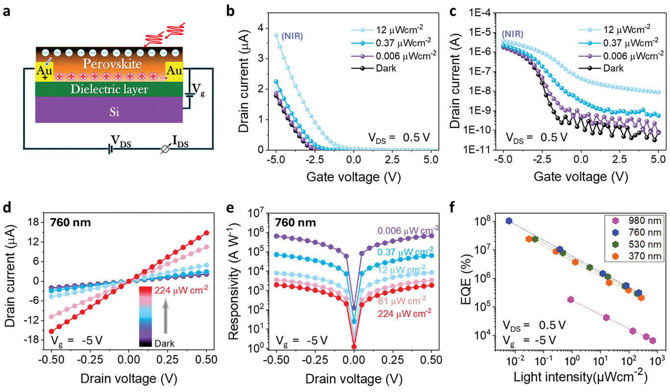 Tin-Based 2D/3D Perovskite Vertical Heterojunction for High-Performance ...