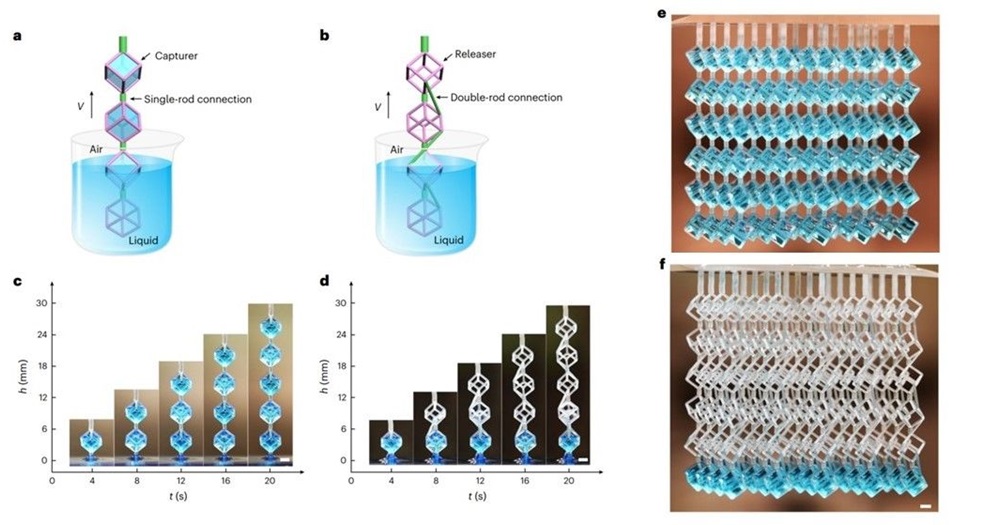 PolyU develops versatile fluidic platform for programmable liquid processing | Research and ...