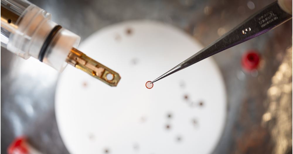 PolyU researchers make breakthrough discovery in structure and ... PolyU researchers make breakthrough discovery in structure and ...