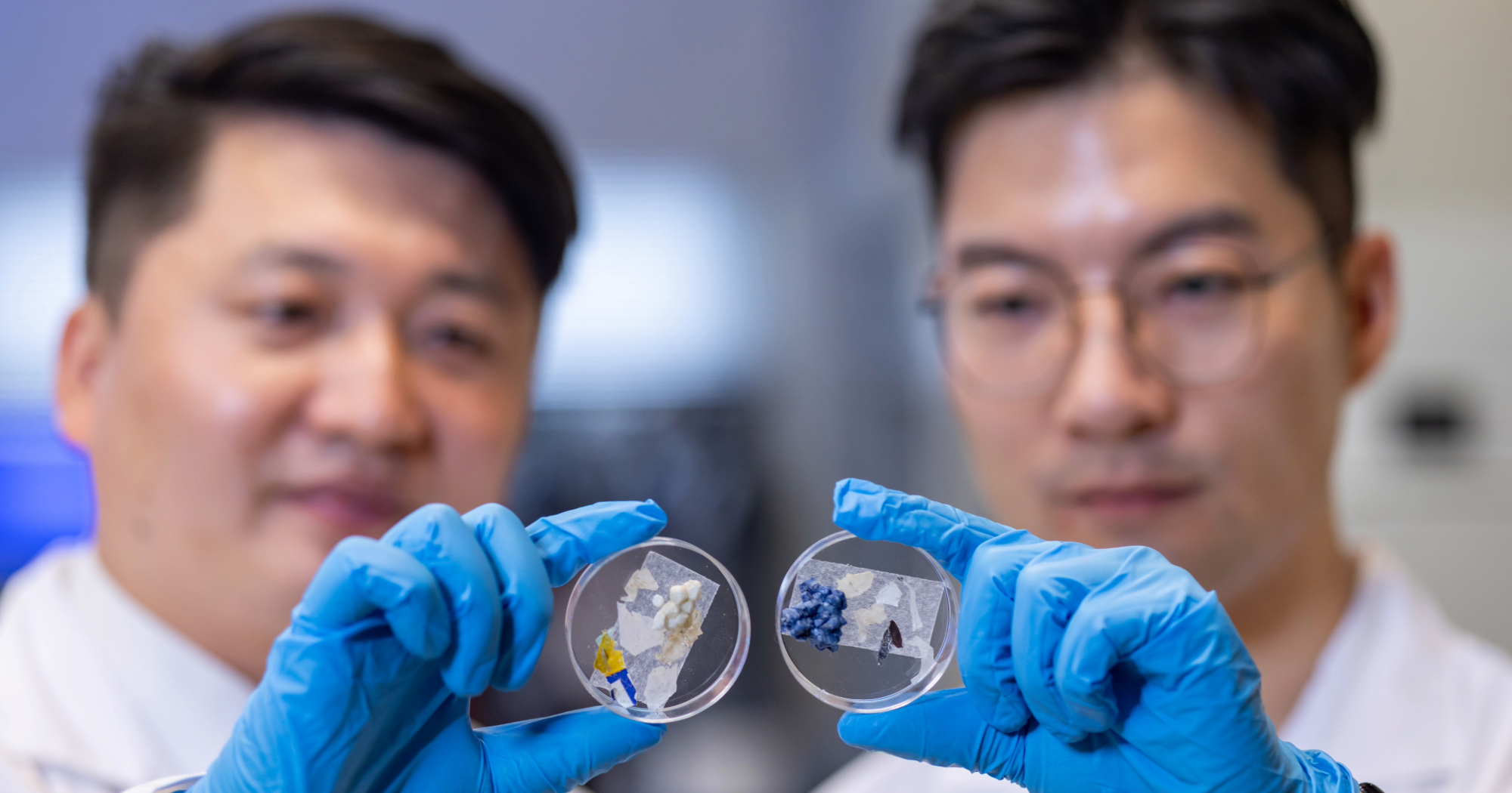 PolyU research unveils hidden microbial threats to ecosystem caused by ...
