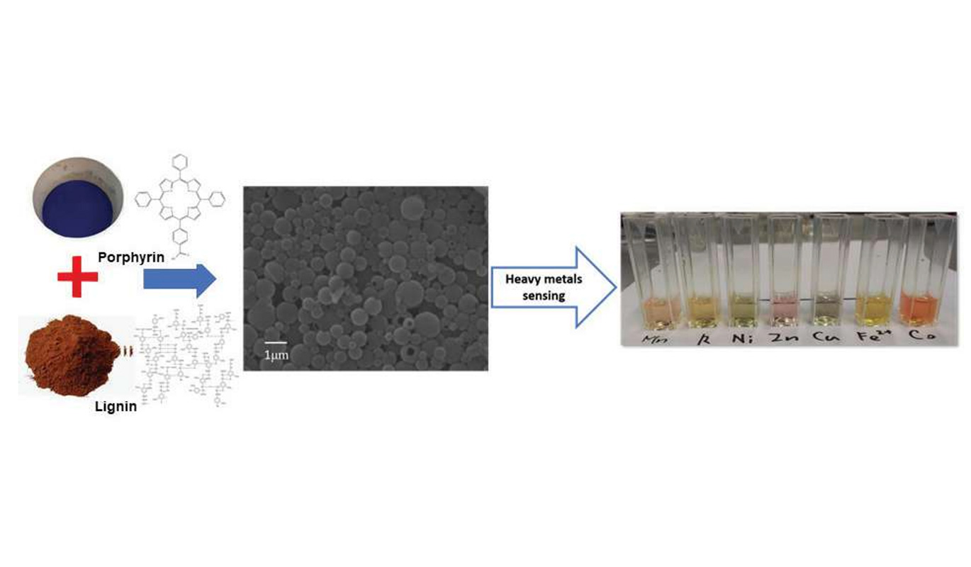 Green Nano-polymer for Fast Screening of Heavy Metals | Research and ...