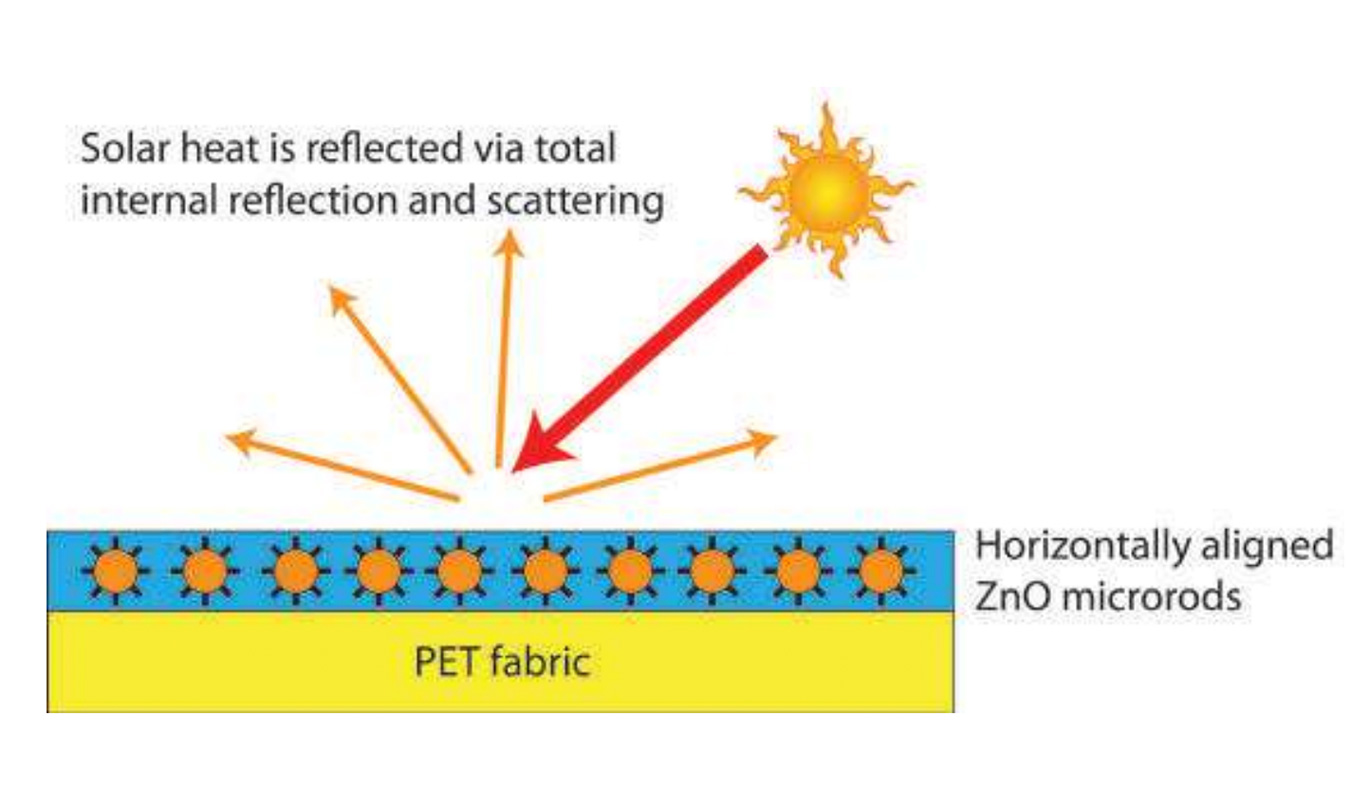 Solar Heat Shielding Using Micro-hair from Saharan Silver Ant ...