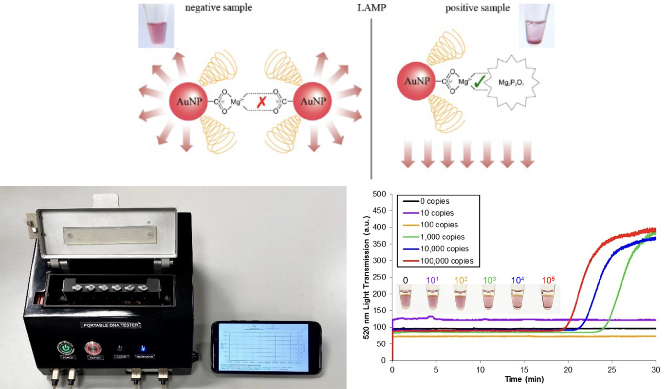 PEG/Carboxyl-Modified Gold Nanopartciles for Point-of-Care Nucleic Acid ...