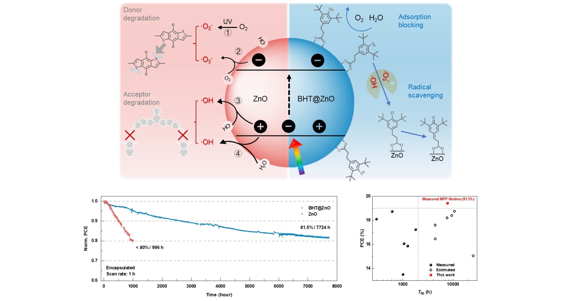 RISE Research: Organic solar cell breakthrough from Prof. Gang LI’s ...