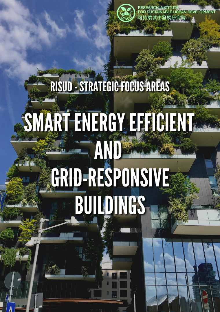 Strategic Focus Areas | Research Institute for Sustainable Urban ...