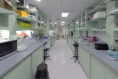 Research Laboratories and Facilities | Department of Rehabilitation ...